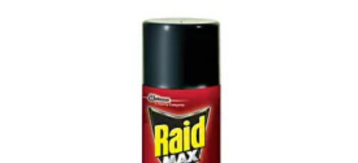 Raid® Max Ant Roach Earwig & Crawling Insect Killer Spray 500-g ...